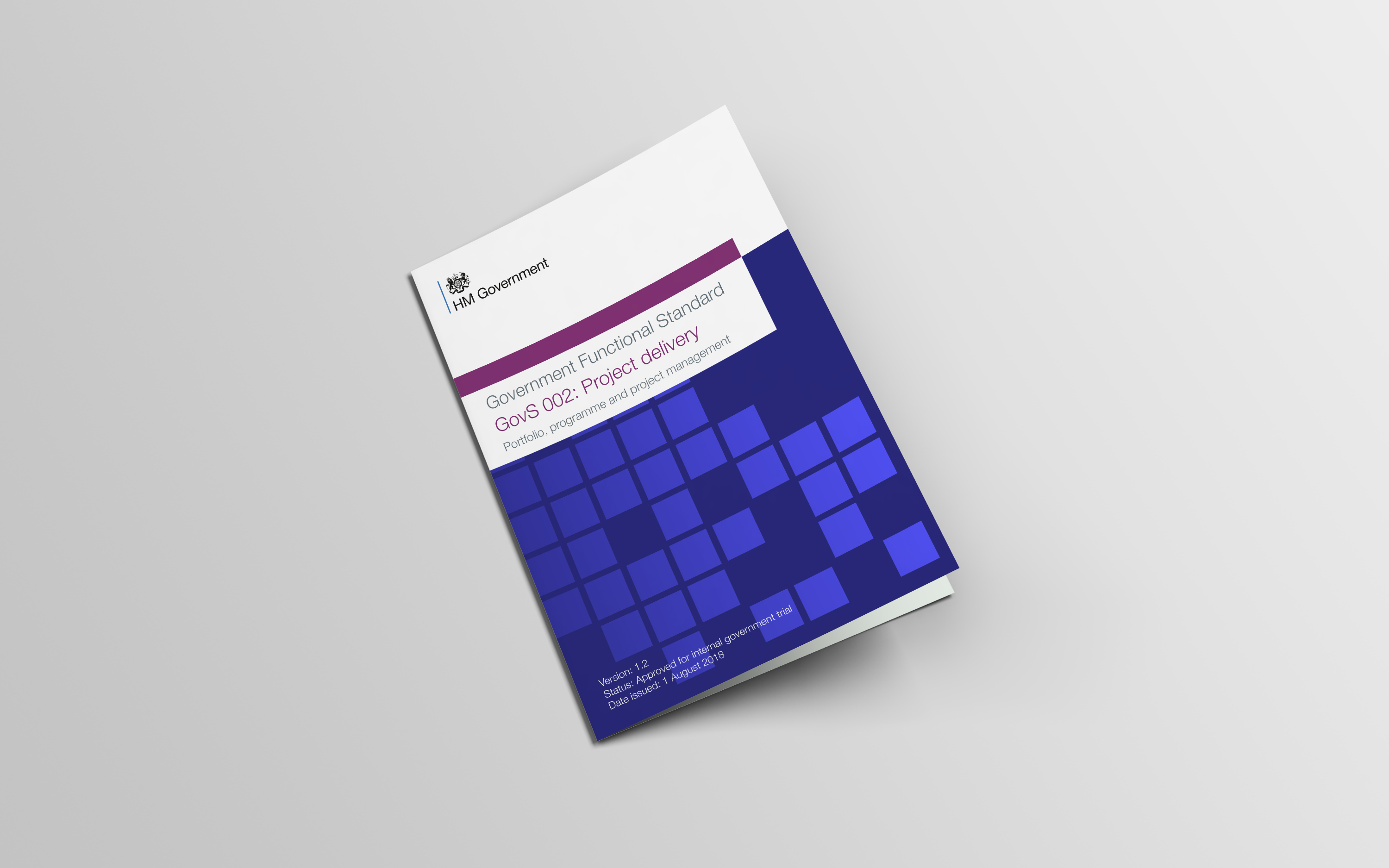 Creating the First Government Project Delivery Standard ...